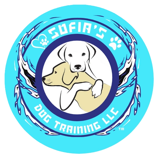 SA Dog Trainers