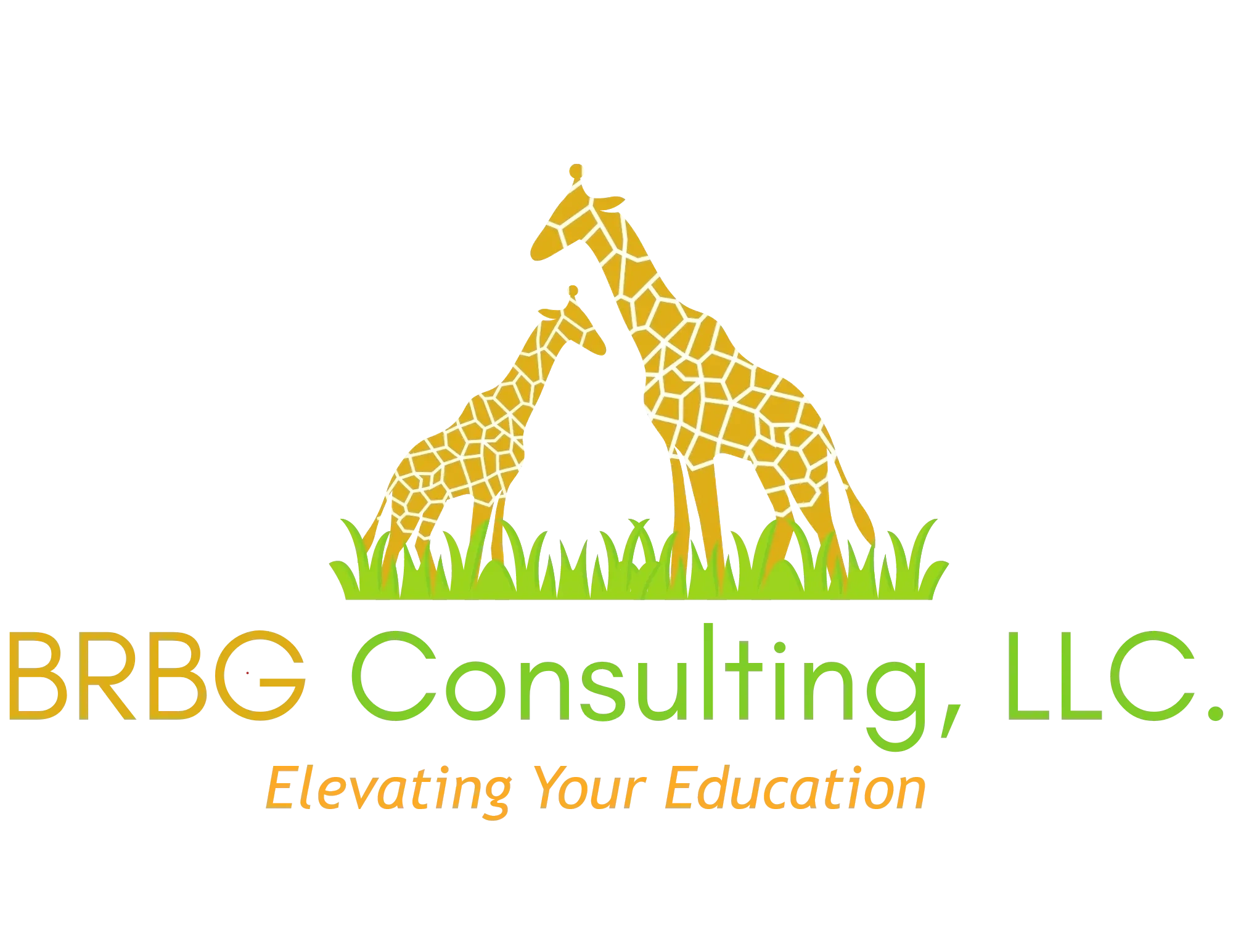 BRBG Consulting, LLC