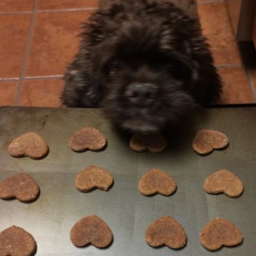 Dog Mom Cookies - All Natural Dog Treats, All Natural Chicken Jerky