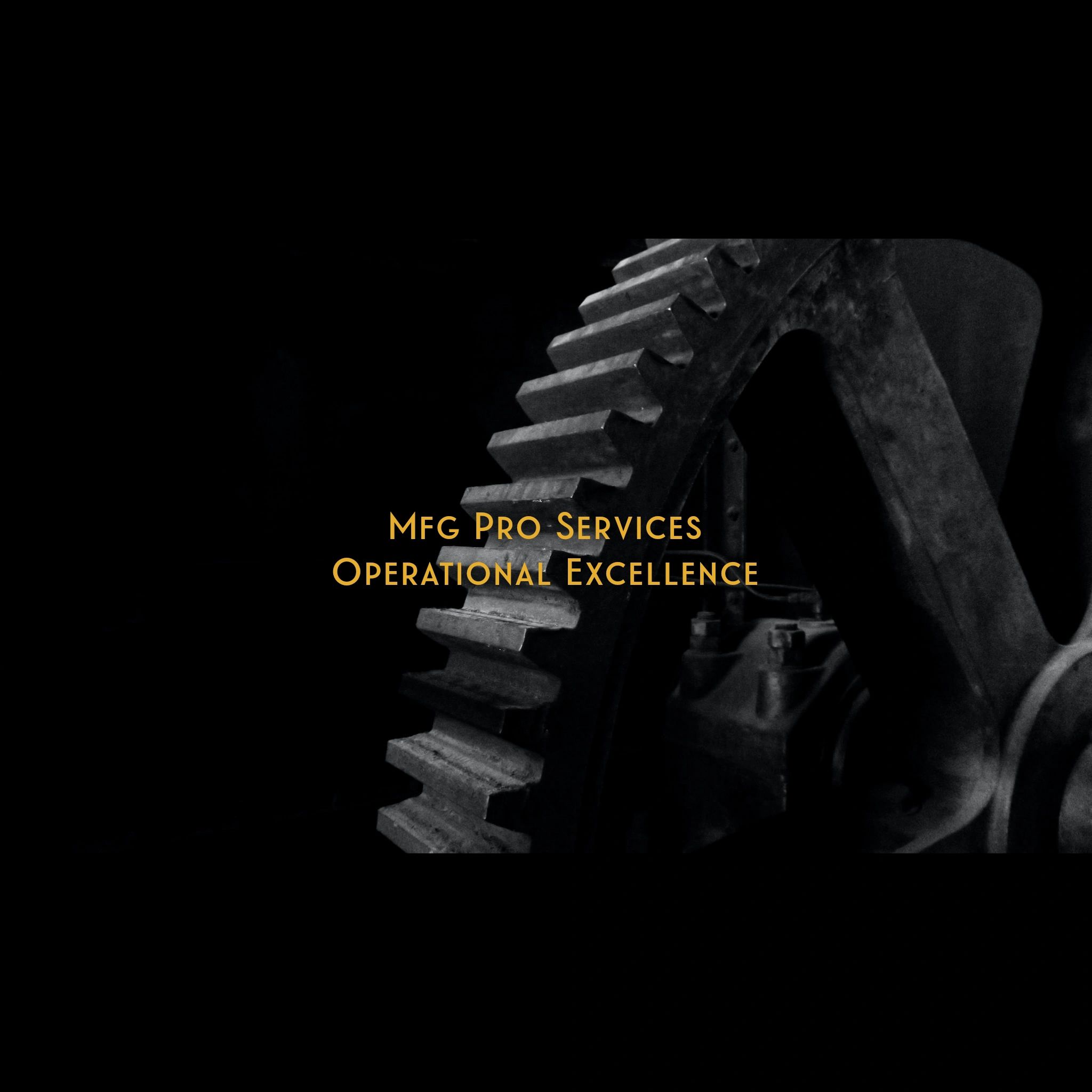 Mfg Pro Services - Operational Excellence