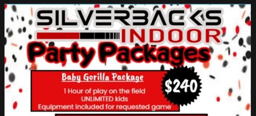 HOME [silverbackssuwanee.com]