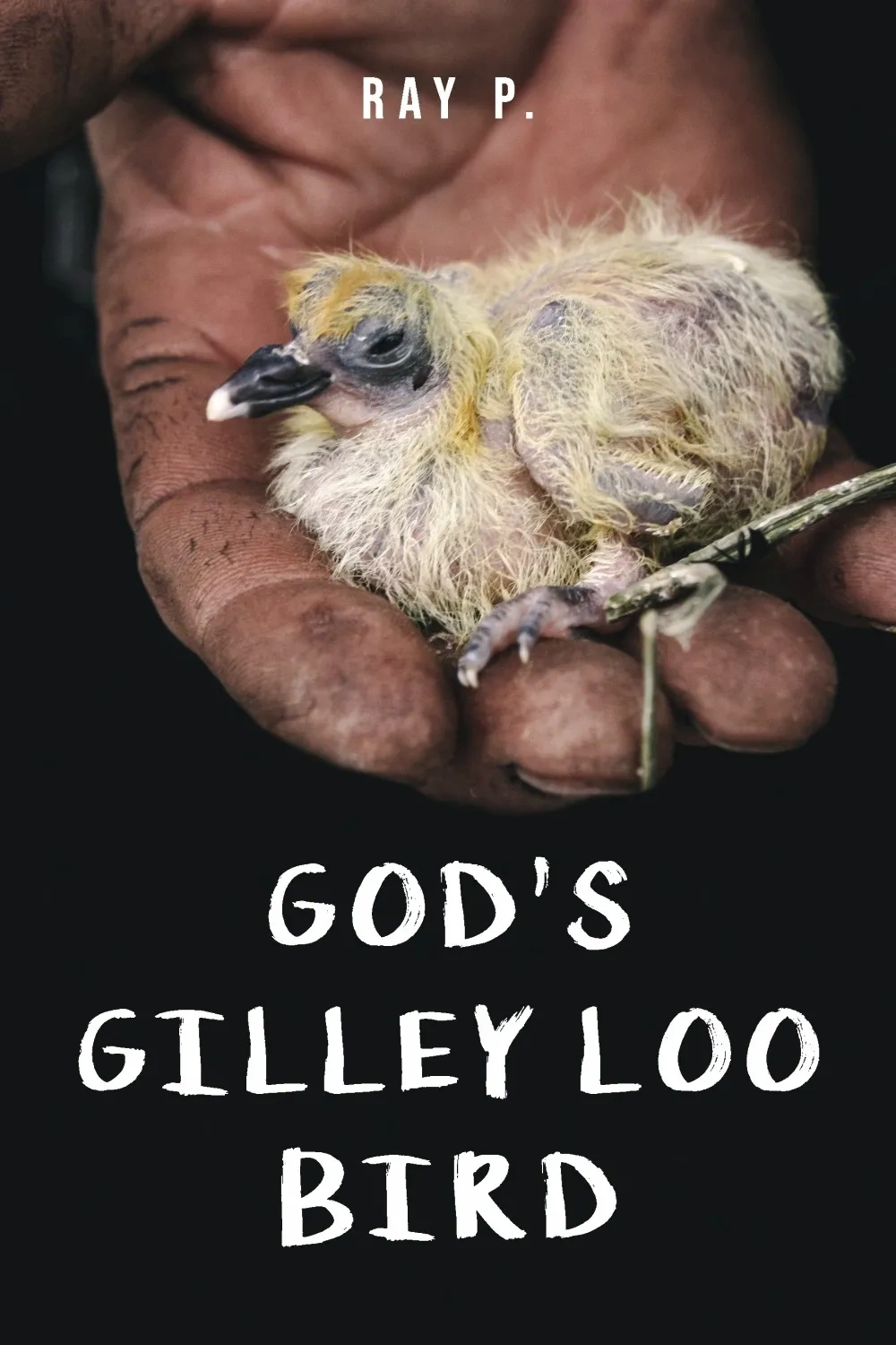 FAQ | God's Gilley Loo Bird