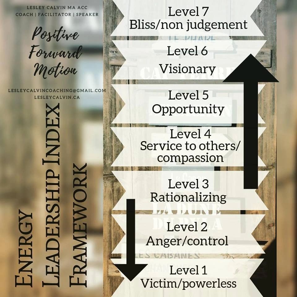 Energy Leadership Index assessment (ELI)
