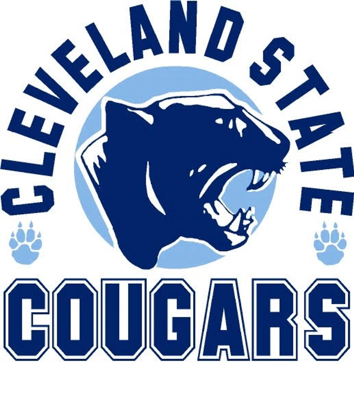 CSCC Basketball