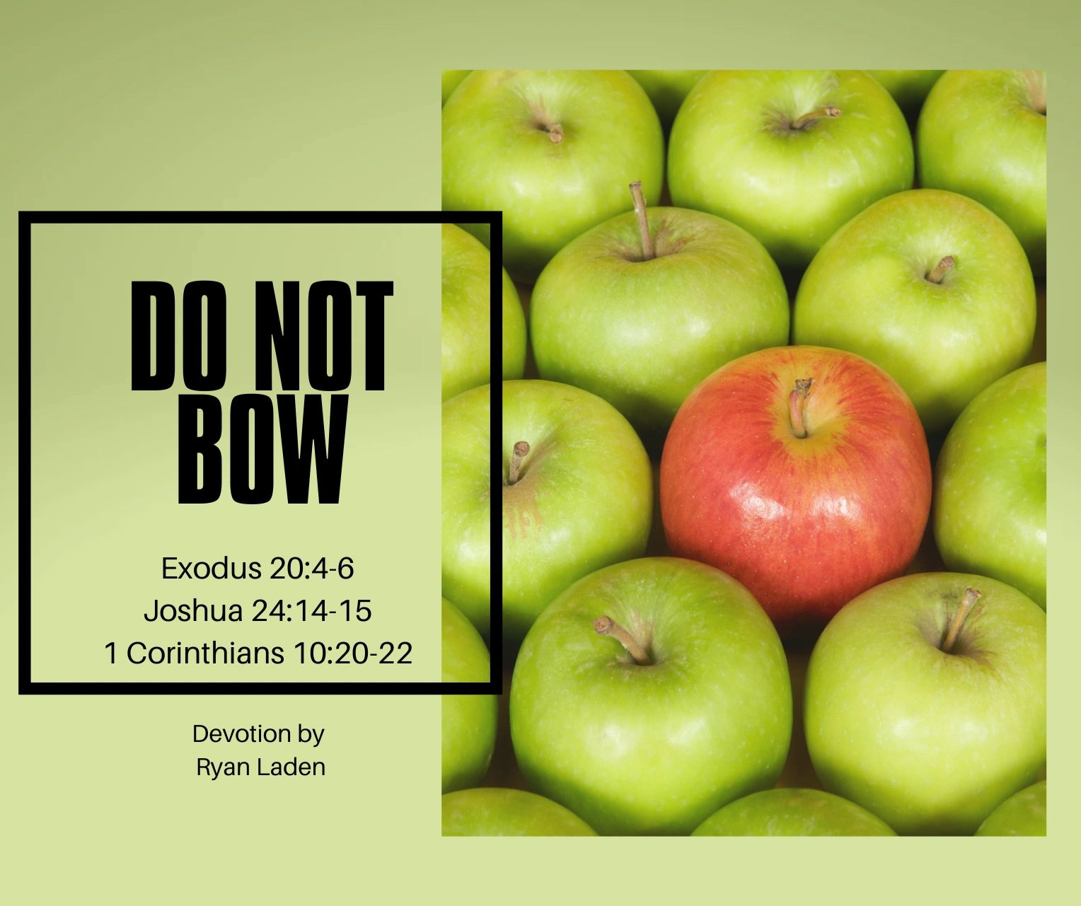 Do Not Bow
