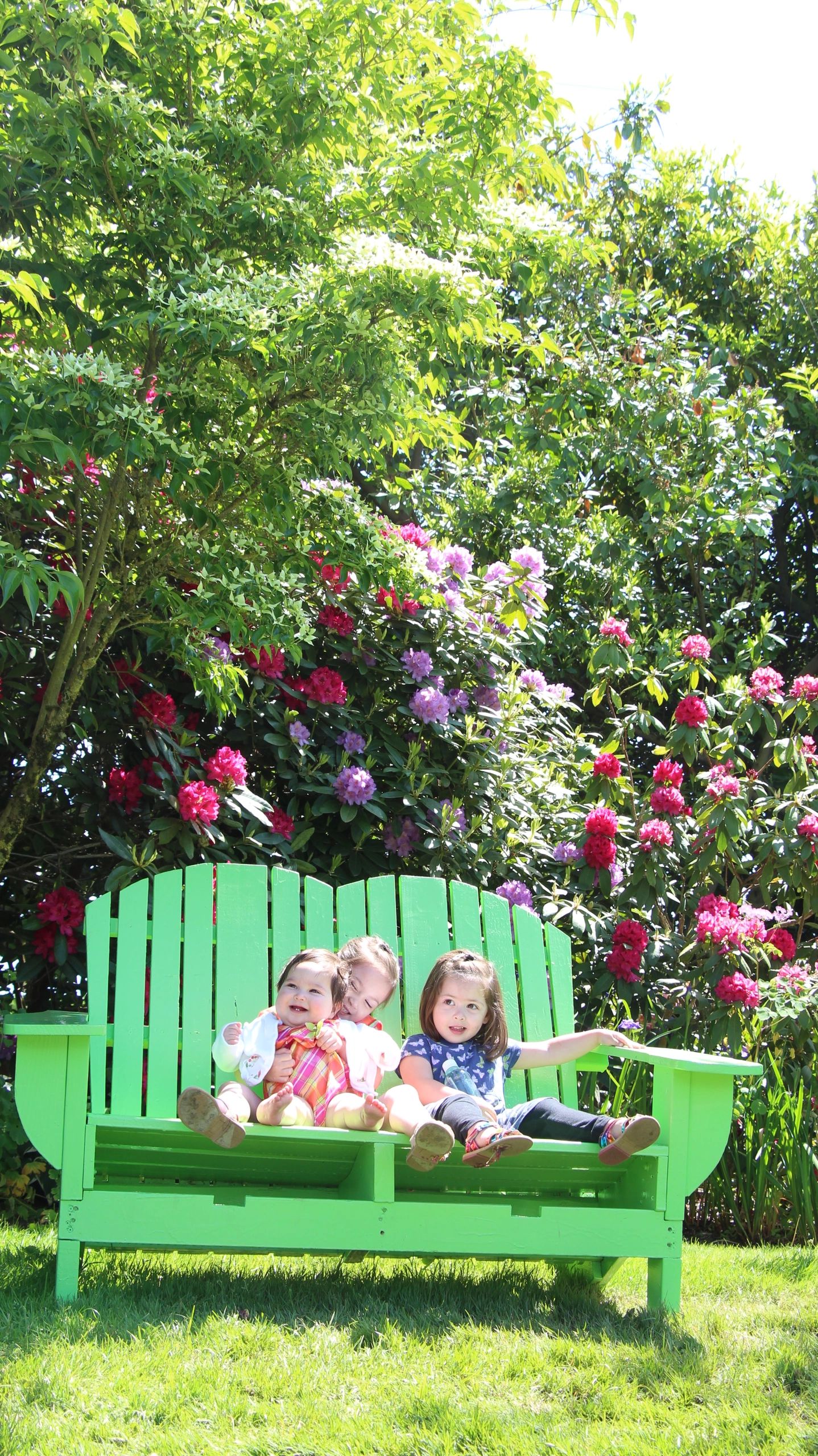 Dr Jonathan V. Roxas