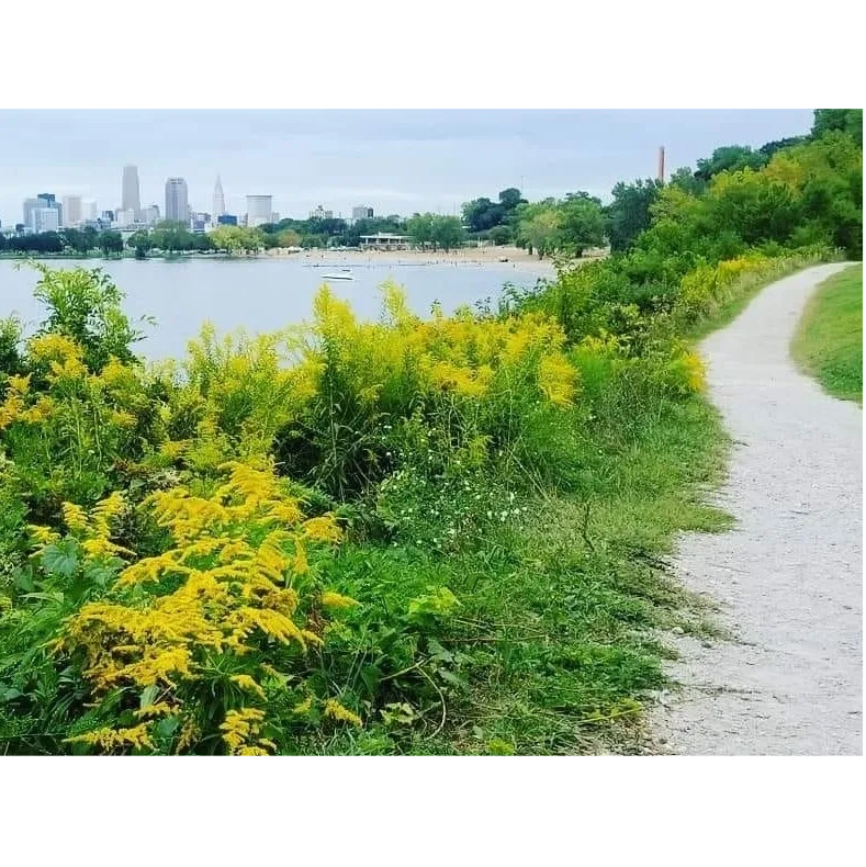 Writer Wellness Coach Leadership Coach - Jilljankowski