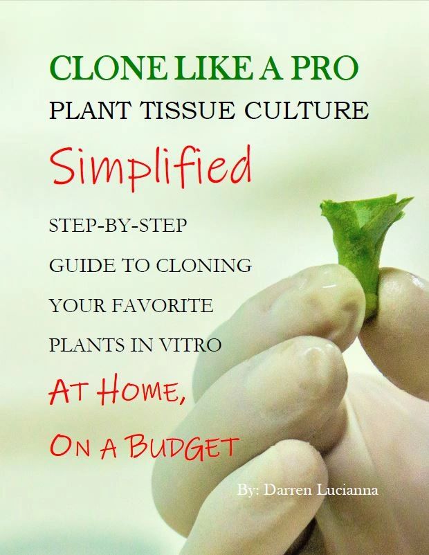 Clone Like A Pro - Plant Tissue Culture Simplified - Step-by-Step Guide ...