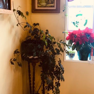 Daisy Massage Spa in Point Pleasant, New Jersey