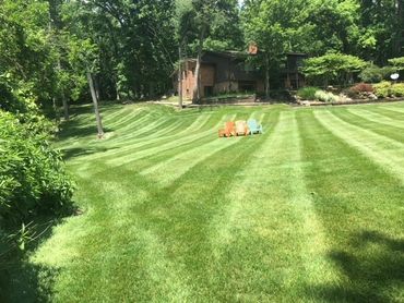 Professional Lawn Mowing Services in DC