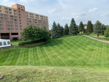 Professional Lawn Mowing Services in DC