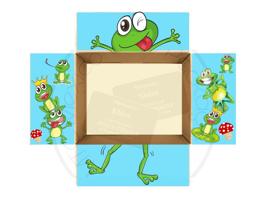 Frog Gift Box