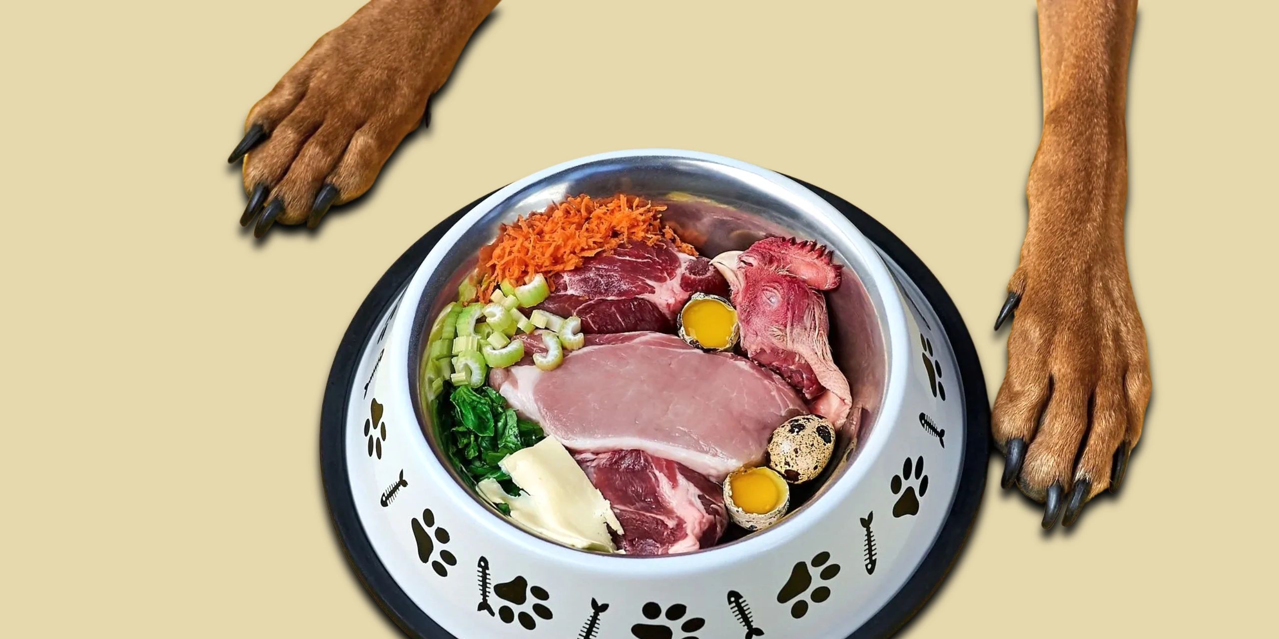 Shaggy and Bear's Barkery