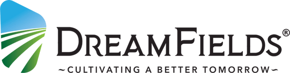 Dreamfields Reporting