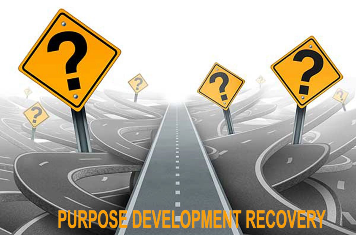 Purpose Development Recovery