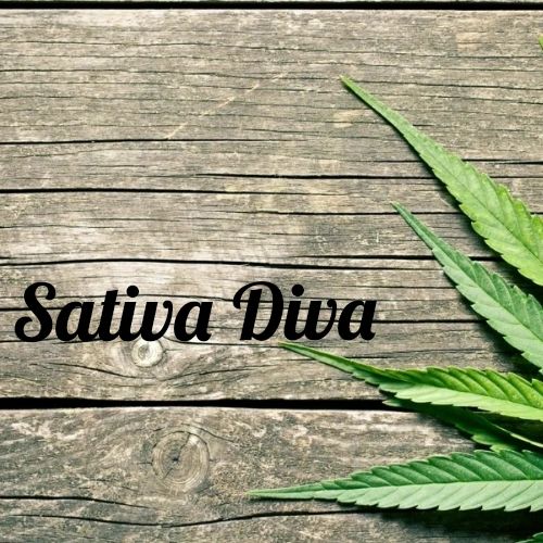 Our Team | Sativa Diva