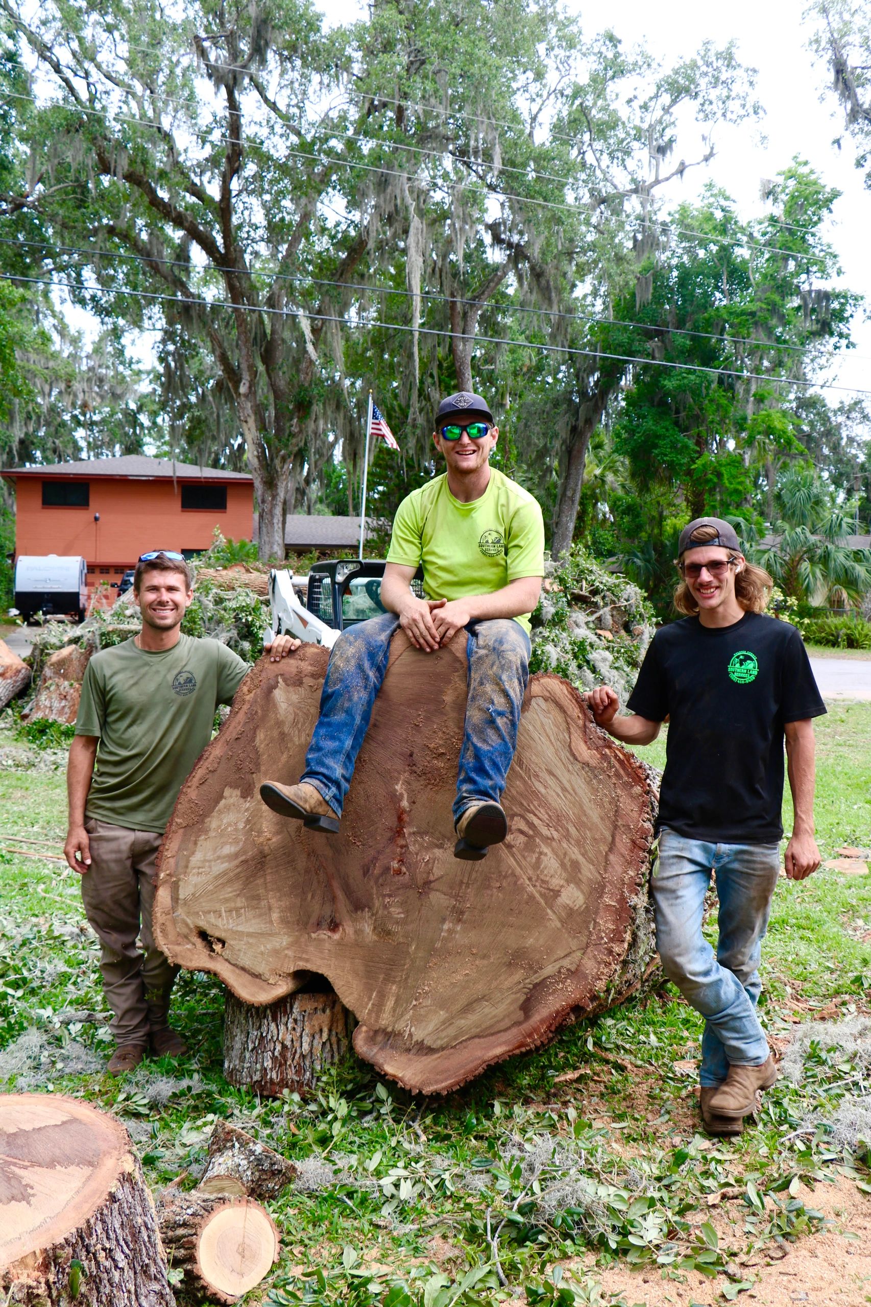 Professional Grading Service in Your Area