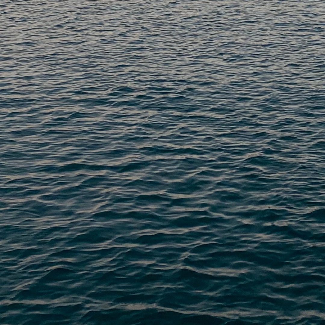 Results | True Blue Racing