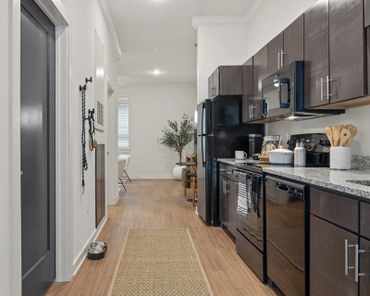 Apartments for Rent - The Monroe Apartments in Downtown Lafayette, LA