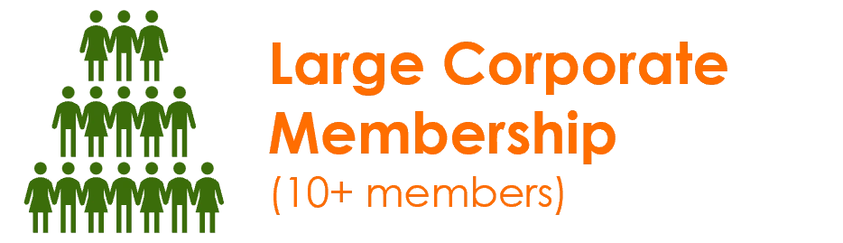 Large Corporate Annual Membership
