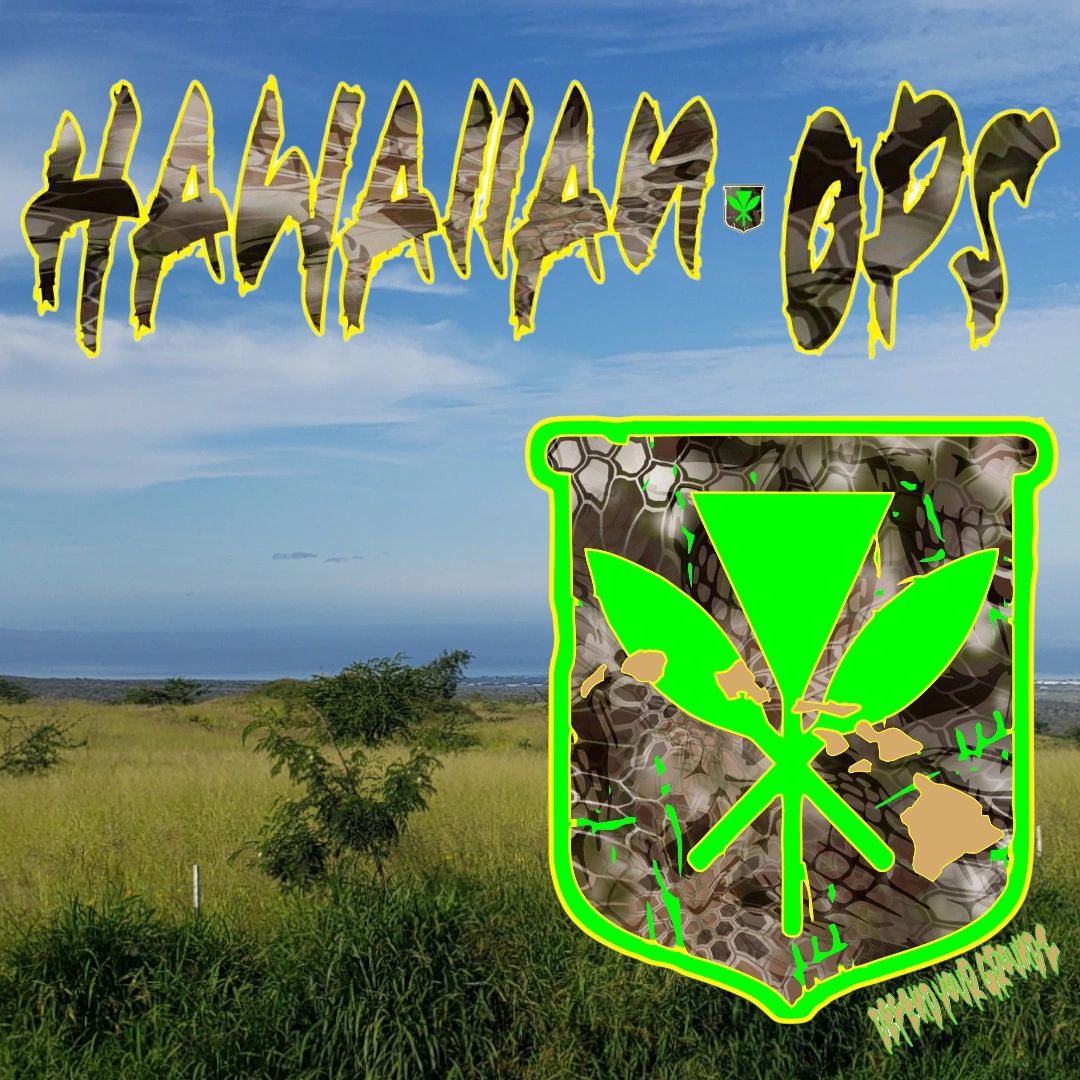 HAWAIIAN OPS - Clothing Apparel, Clothing Apparel, Clothes, Shirts