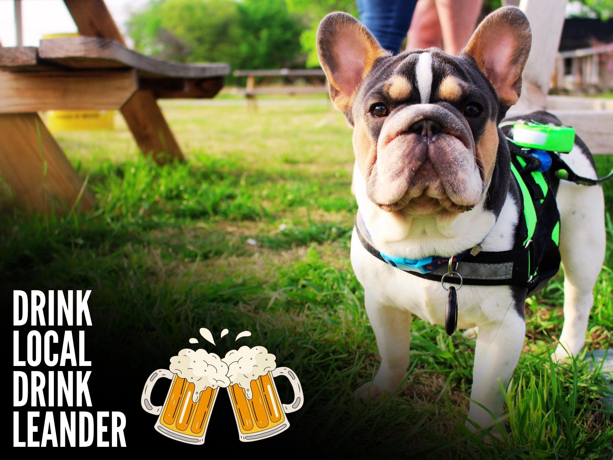 HOME [5thelementbrewing.com]