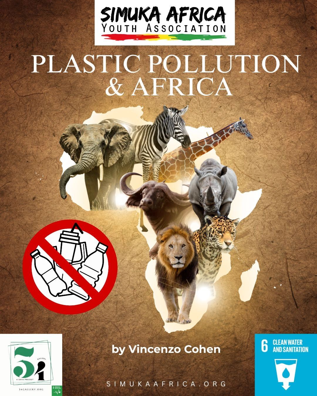 SDG 6: Plastic pollution & Africa