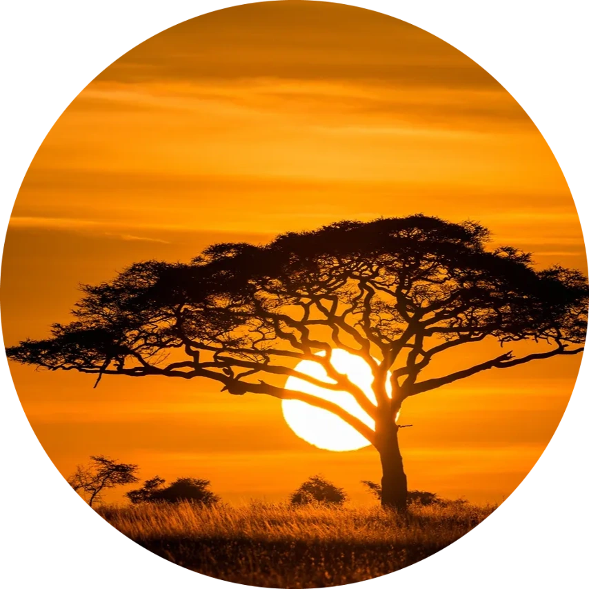 The Simuka Africa Cultural Series: The Shona Creation Myth