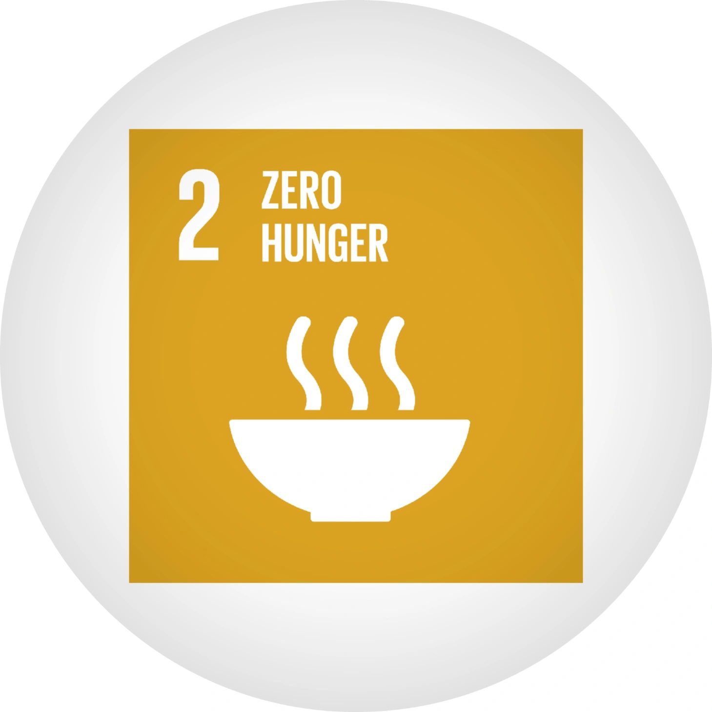 SDG2: Zero Hunger, Education & Zimbabwe Youth