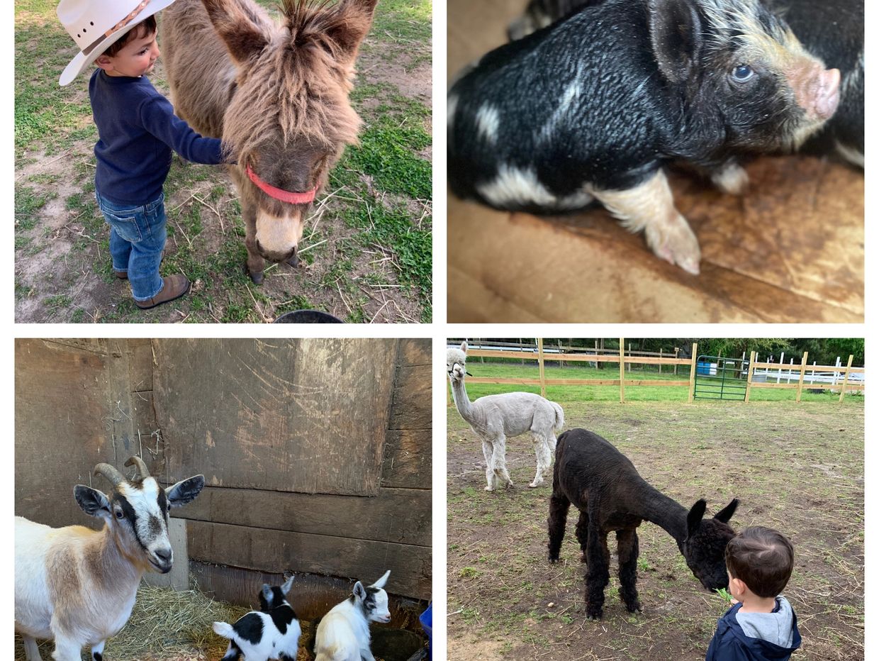 Farm Visits