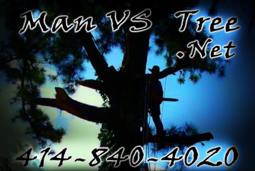Man Versus Tree