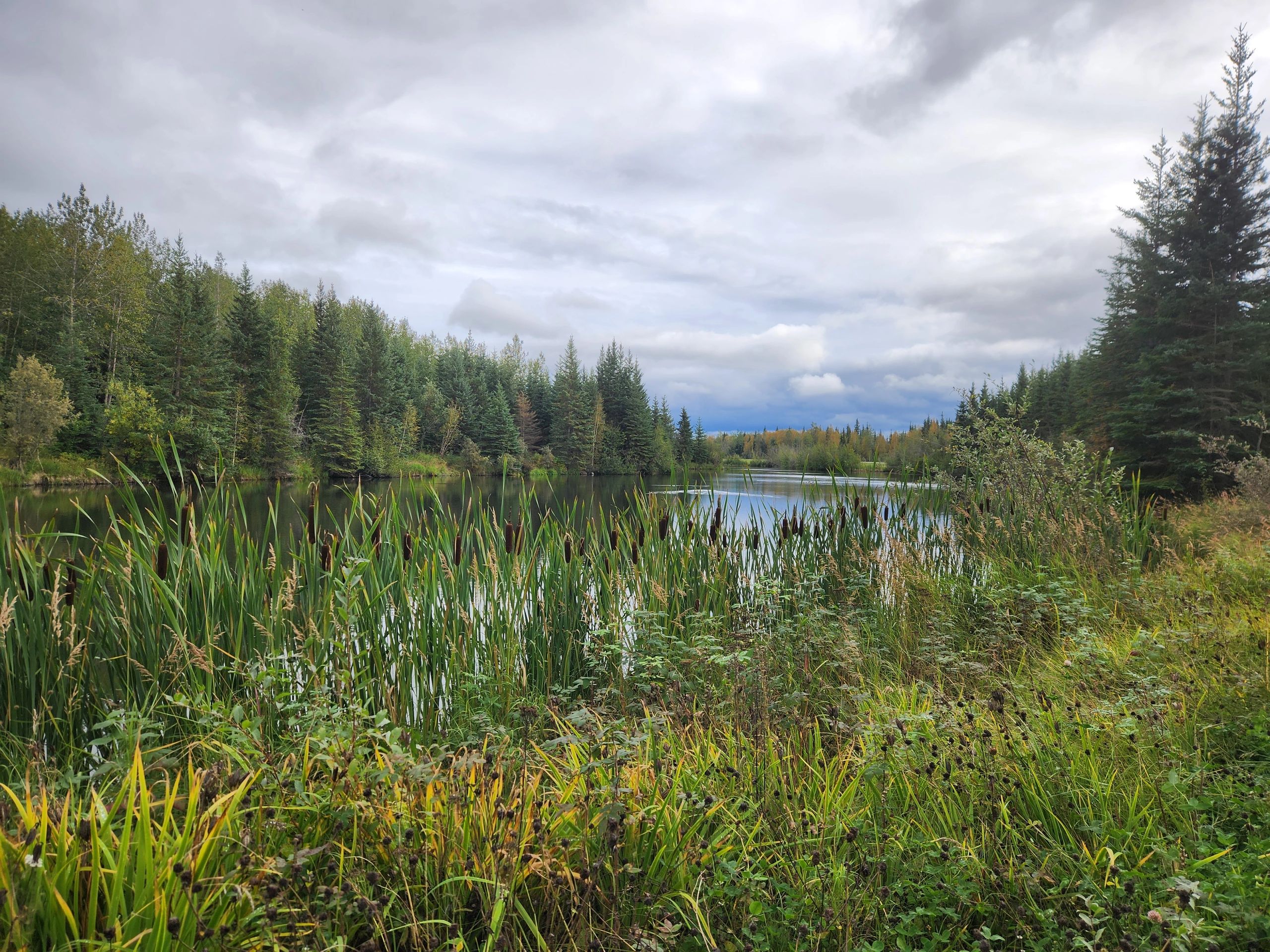 ALASKA – OREGON COAST