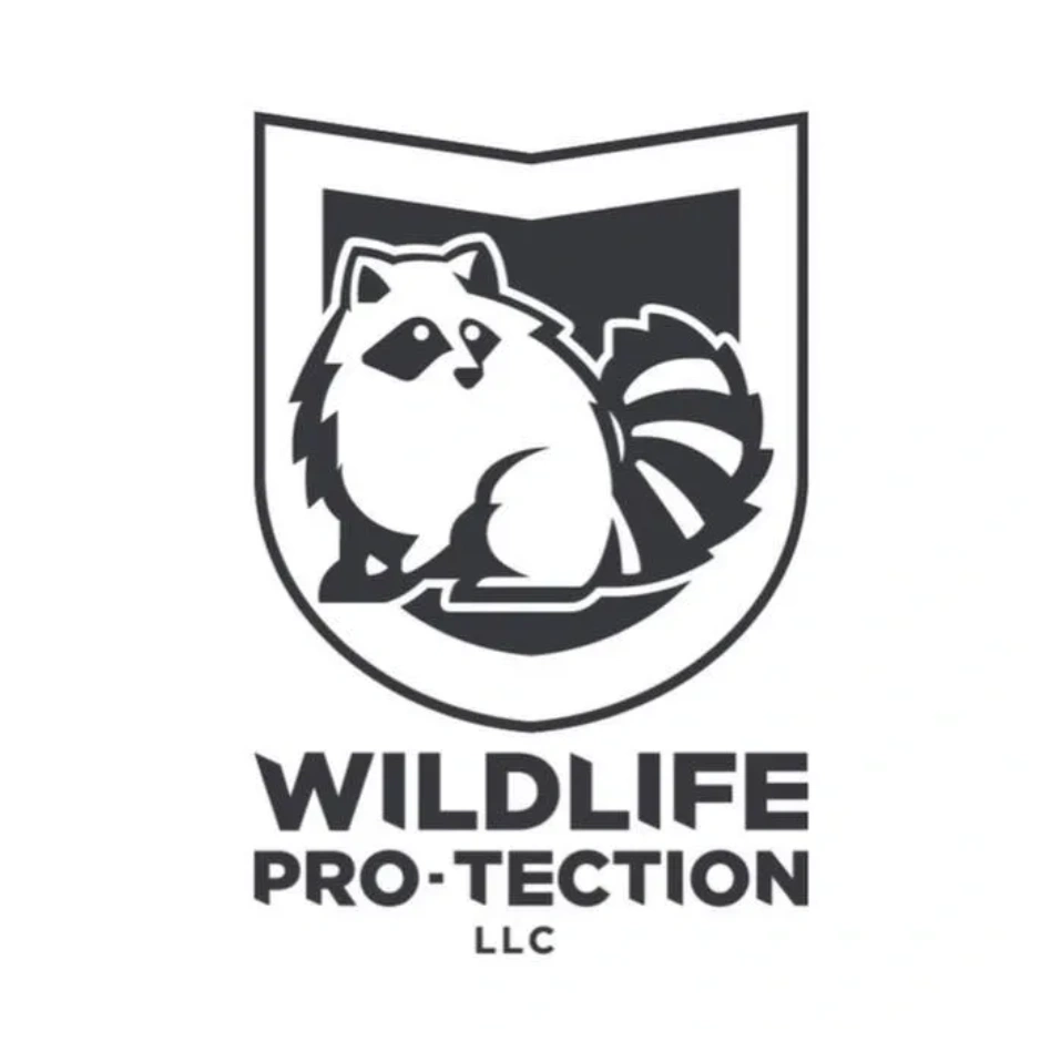 Raccoons, Squirrels, Bats, Rats. - WildLife PRO-tection