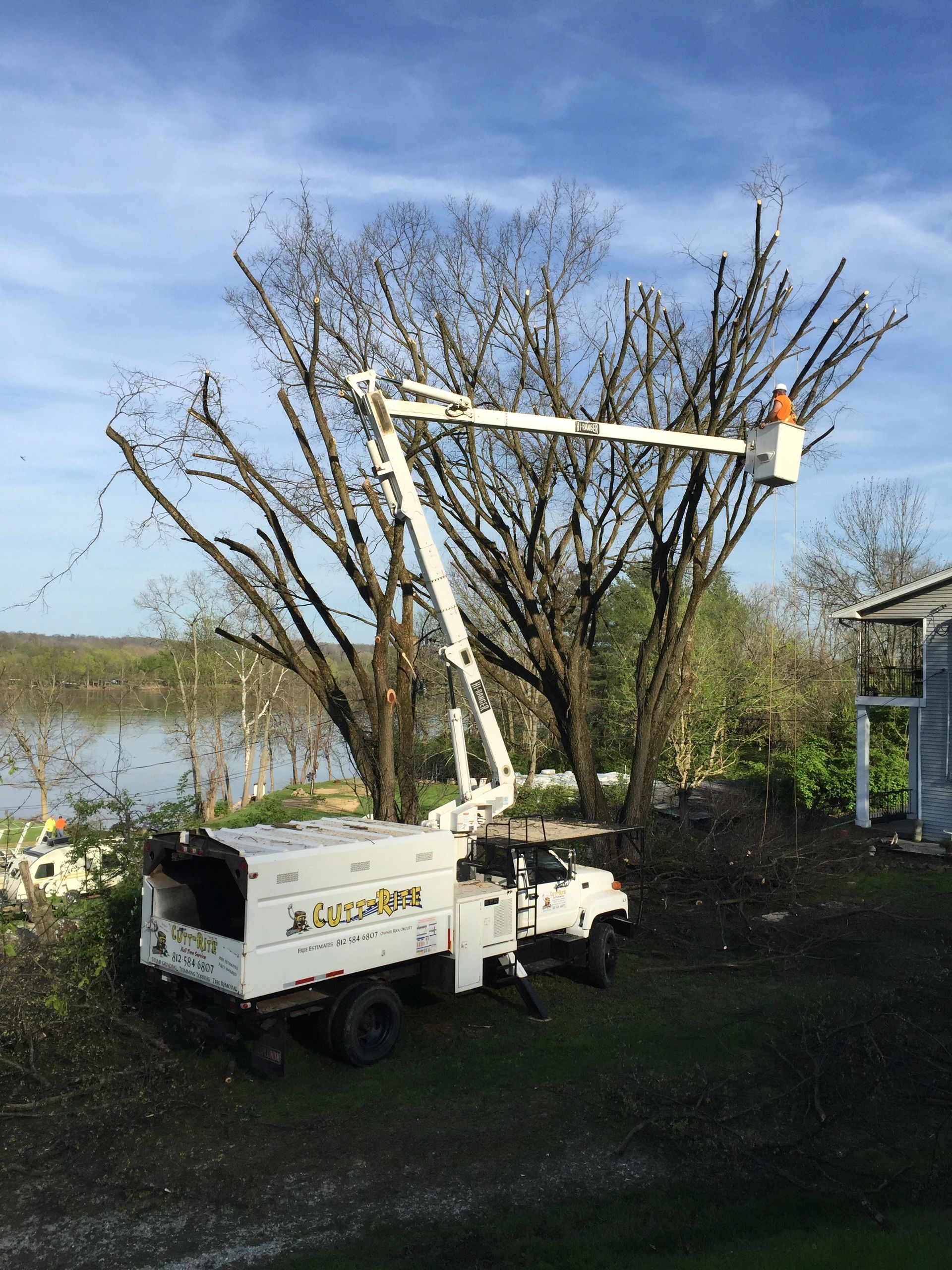 Cutt-Rite - Tree Removeal - Aurora, Indiana