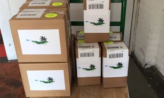 Colors | GatorGlide.com