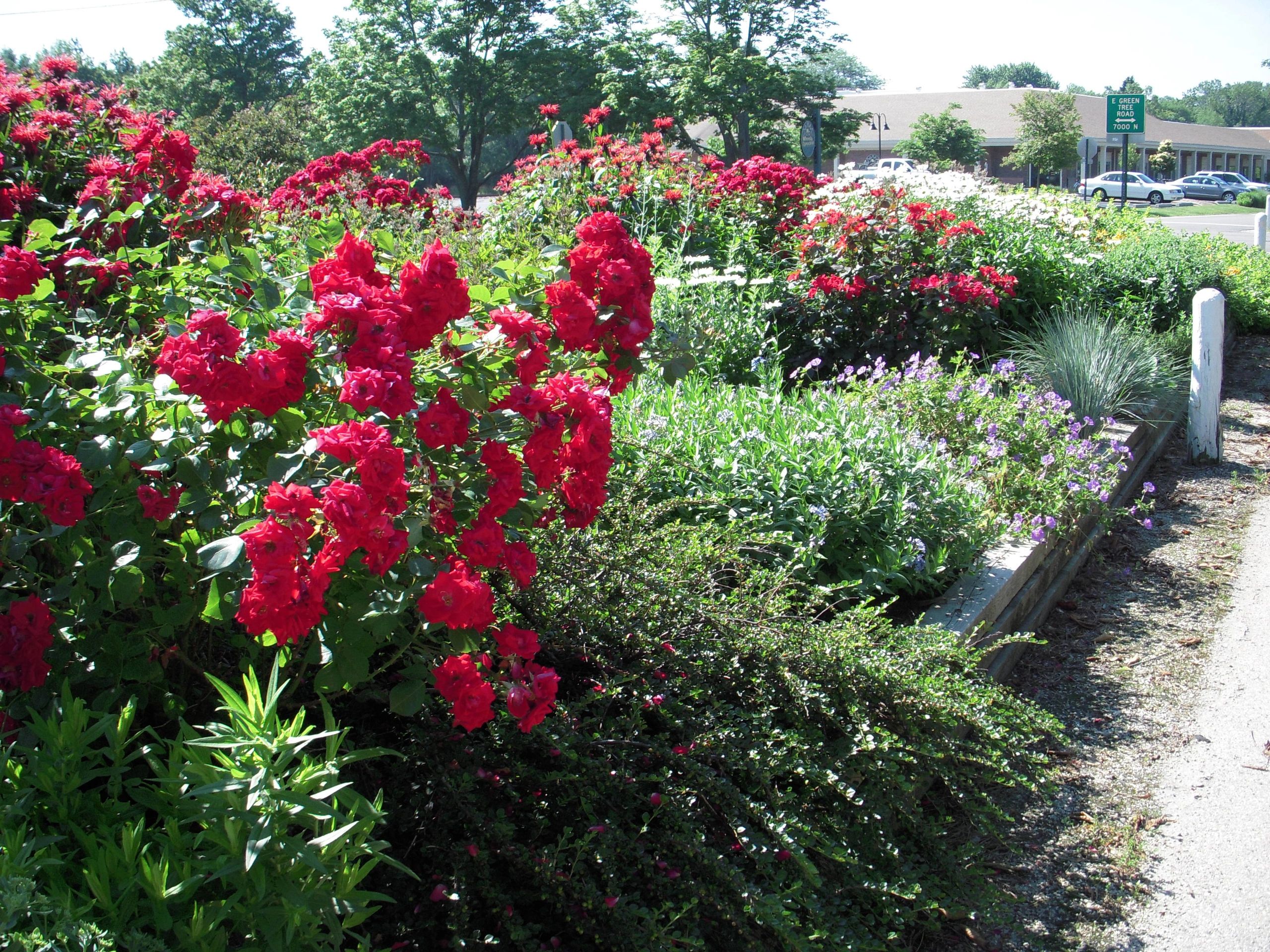 foxpointgardenclub.com