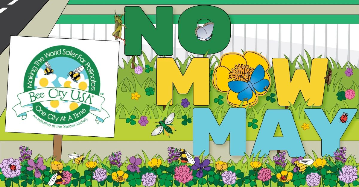 Buy a 'No Mow May' Sign