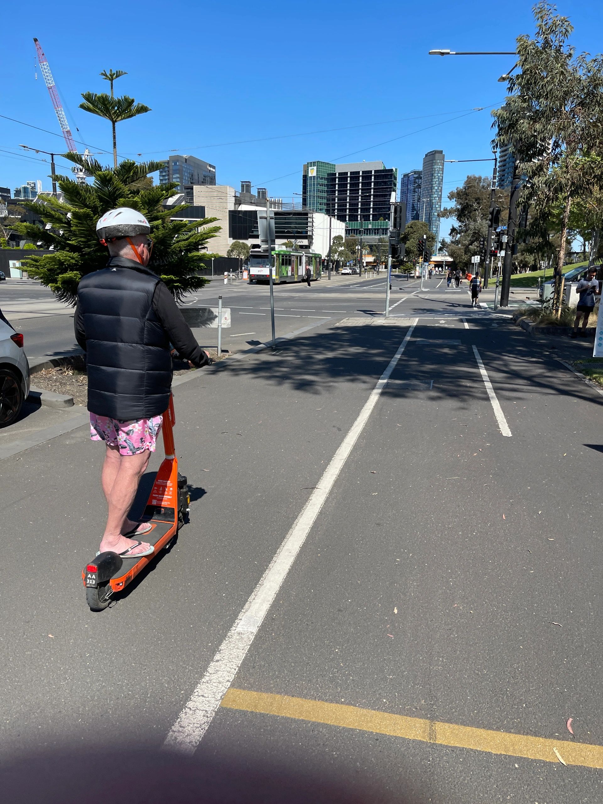 Shop Stylish Shorts Bathers at Tommys Togs