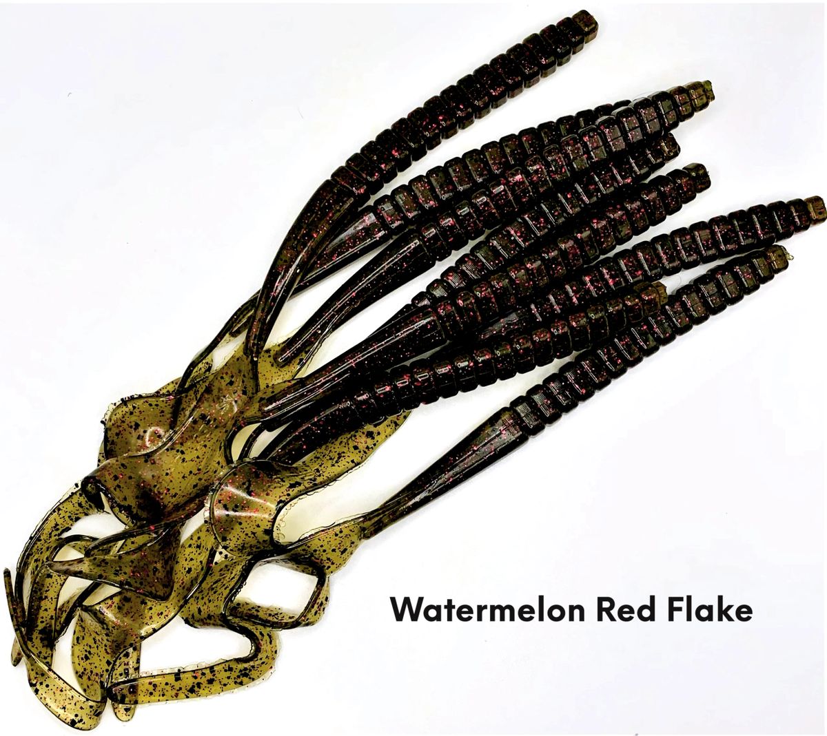 TBB Magnum Body Worms