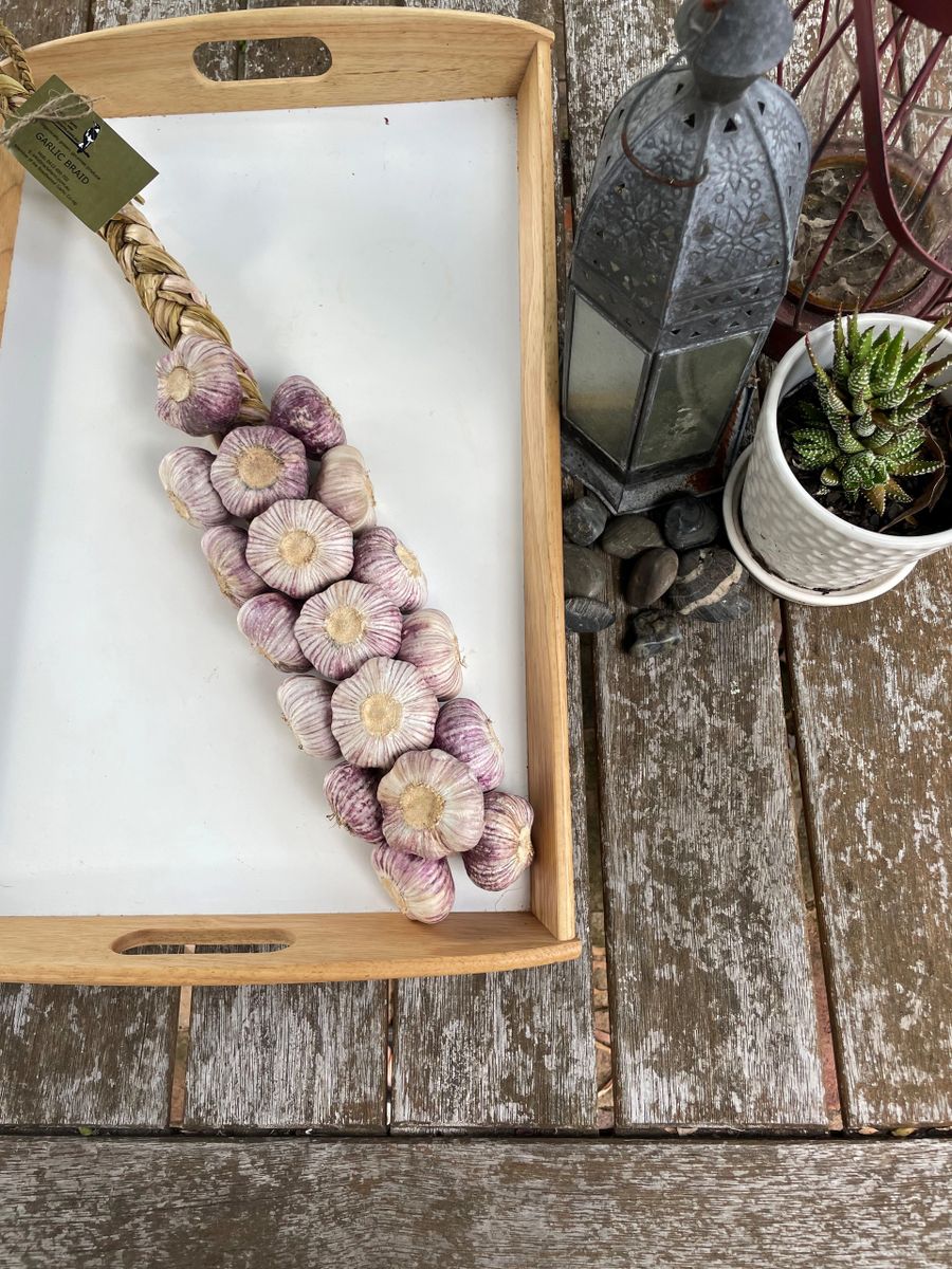 Garlic Braid - order now for delivery via post in December 2025