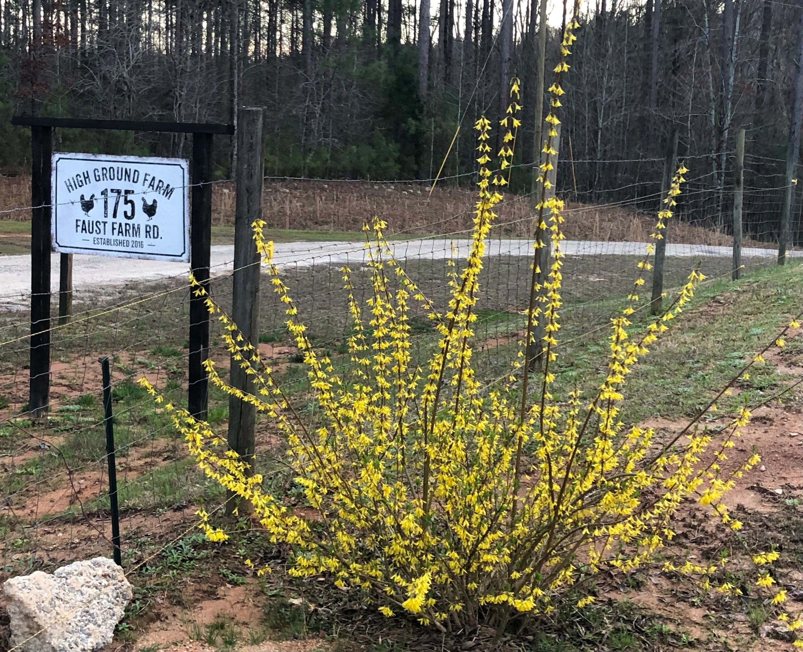 High Ground Farm of Arnoldsville, Georgia