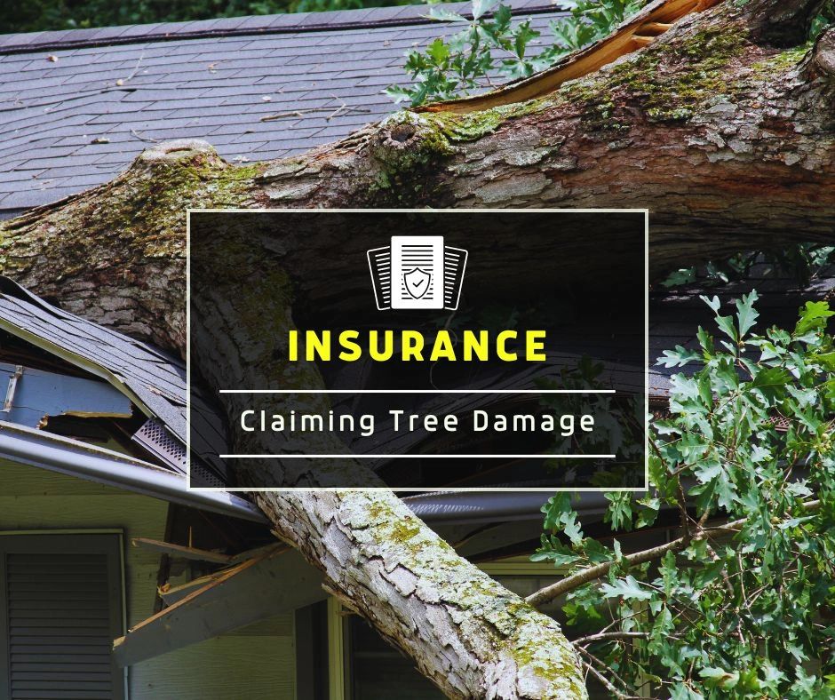 Insurance Claims for Tree Damage: A Step-by-Step Guide