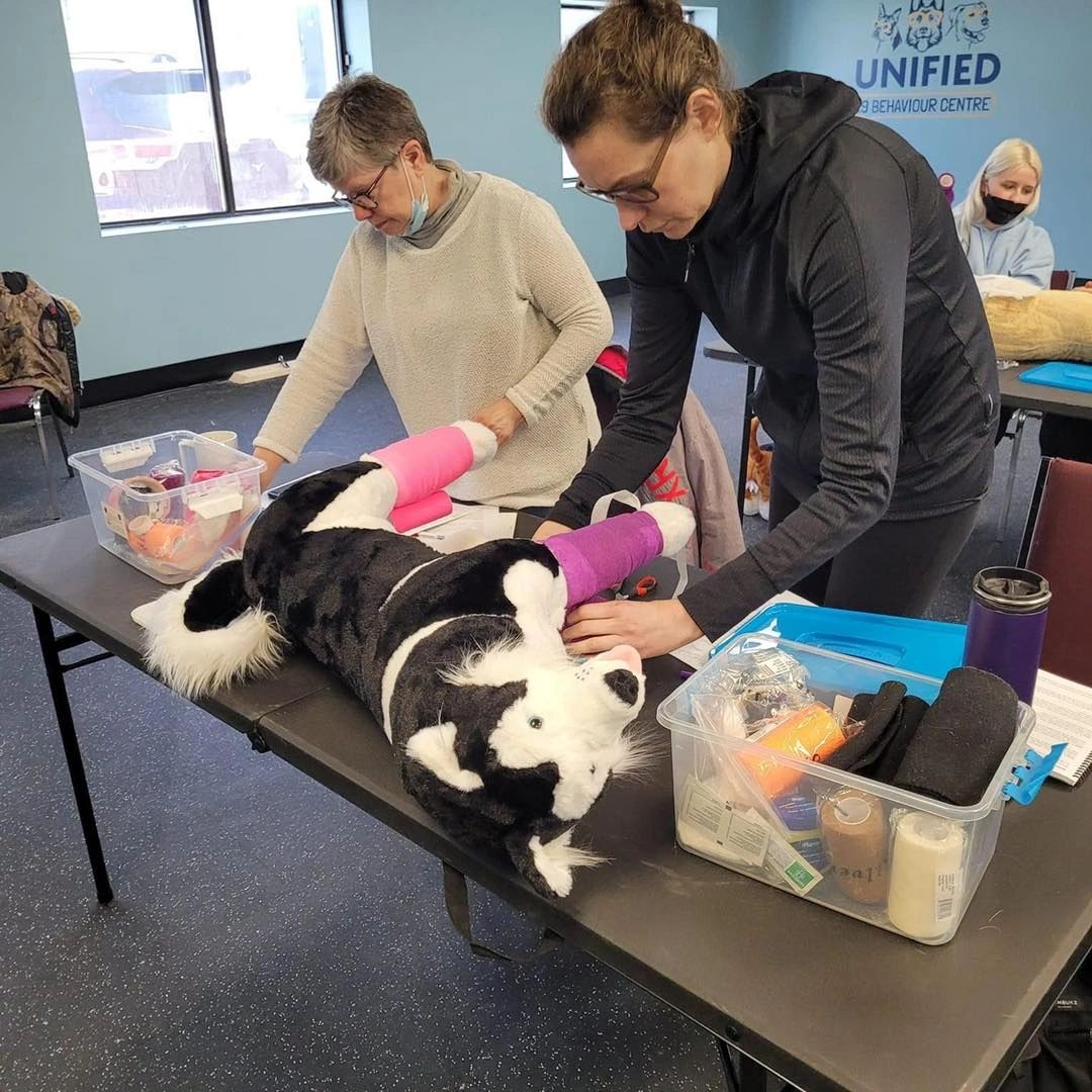 First Aid - Canine Health Canada