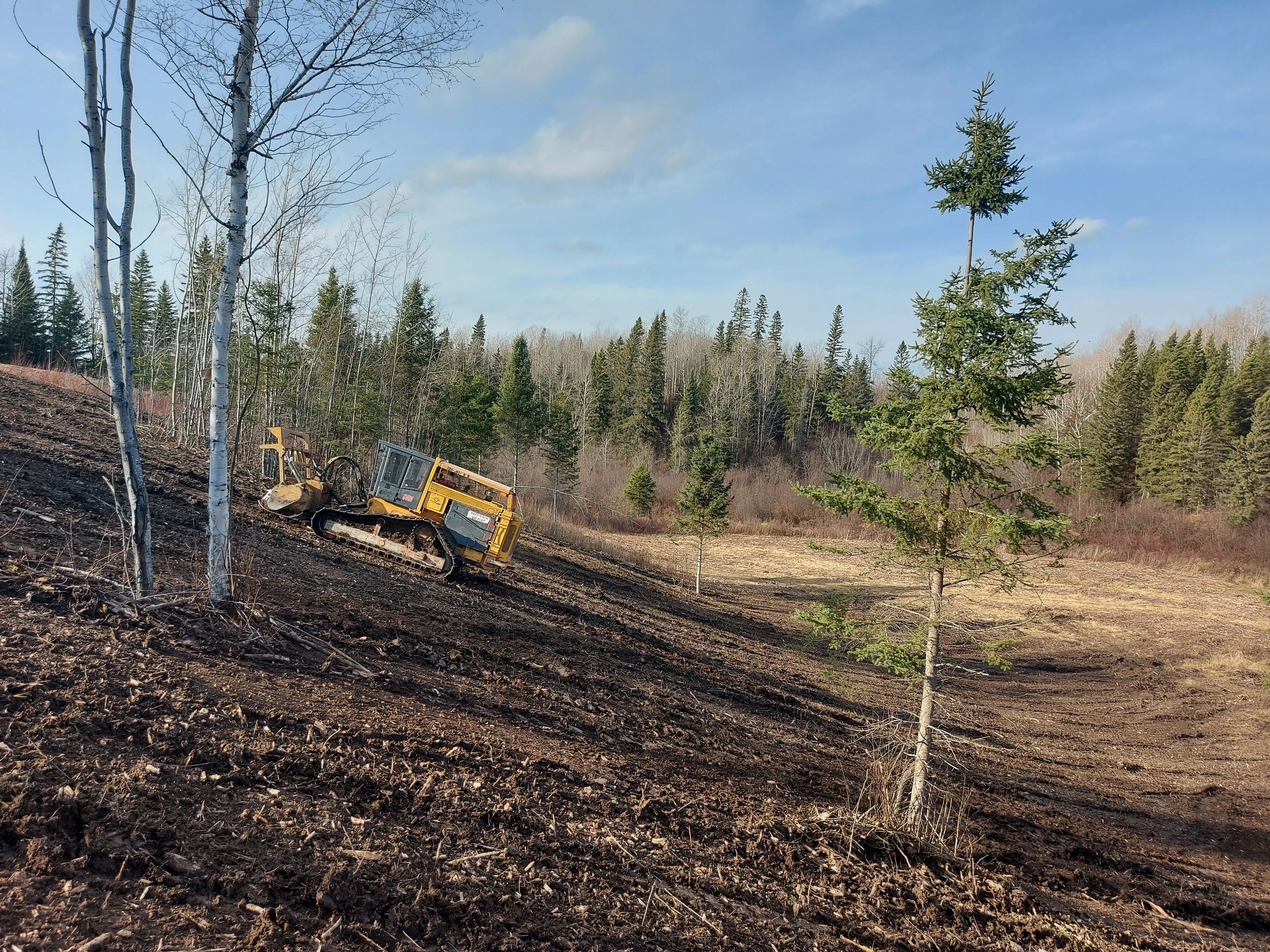 Mountain Wood Enterprise - Mulching, Land Clearing