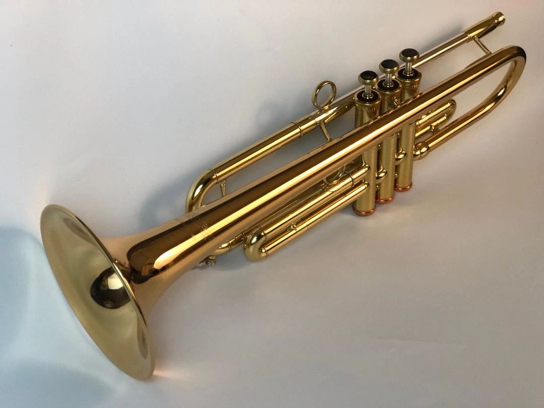 PROTOTYPE CarolBrass CTR-5060L-GLT-(D)-GL-Bb-Lead Custom (EM) Step Bore ...