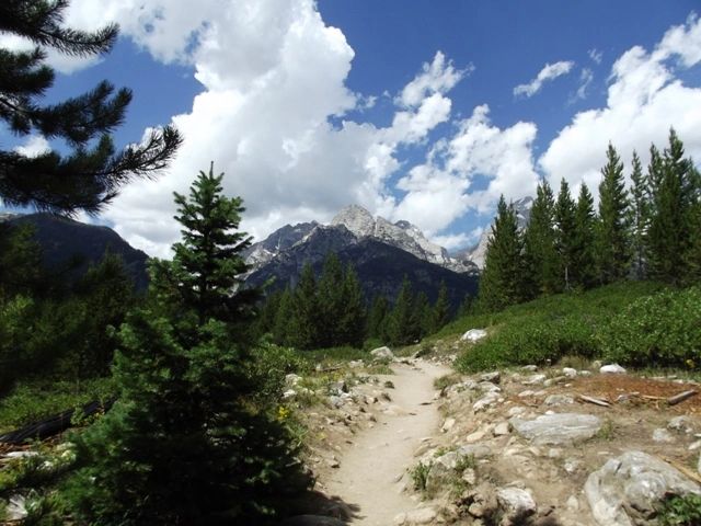 Chestnut Ridge Forestry - Forestry Jobs, Forestry