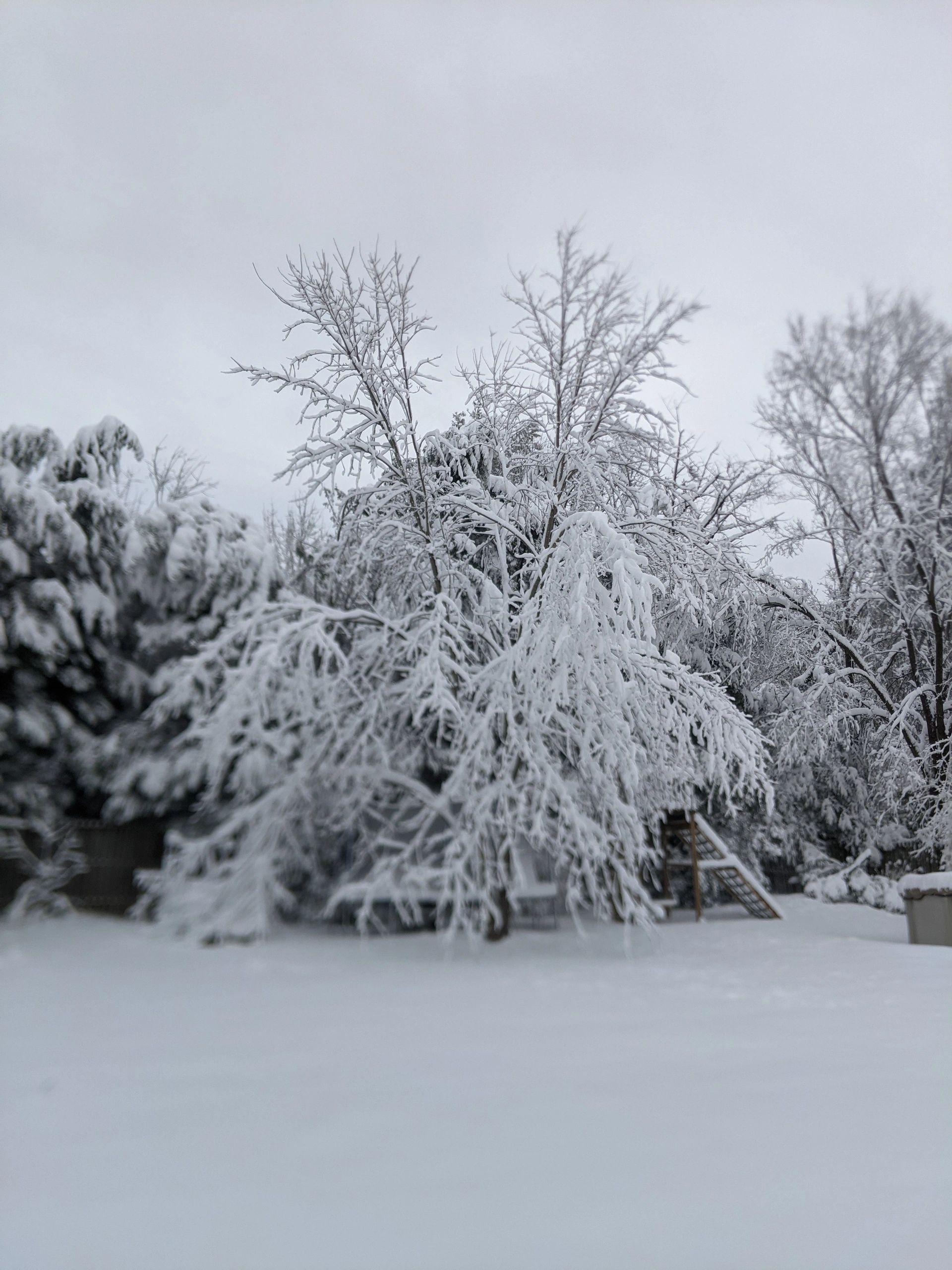 Comedy Plays by Tim Pullen