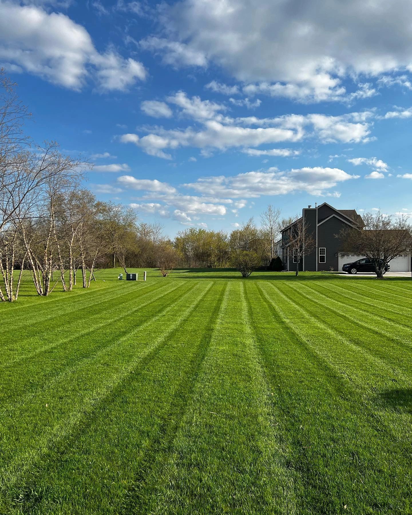 Filbin Lawn and Landscape Services