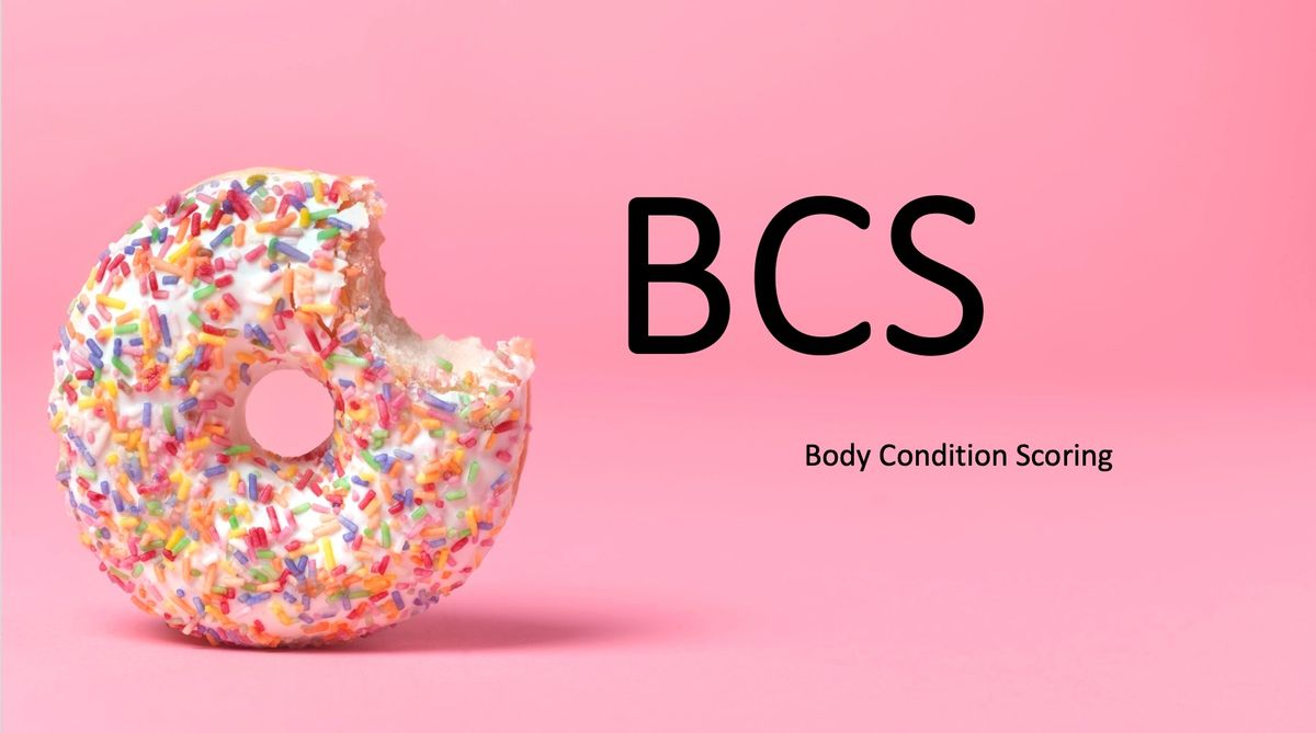 Body Condition Scoring (dogs and cats)