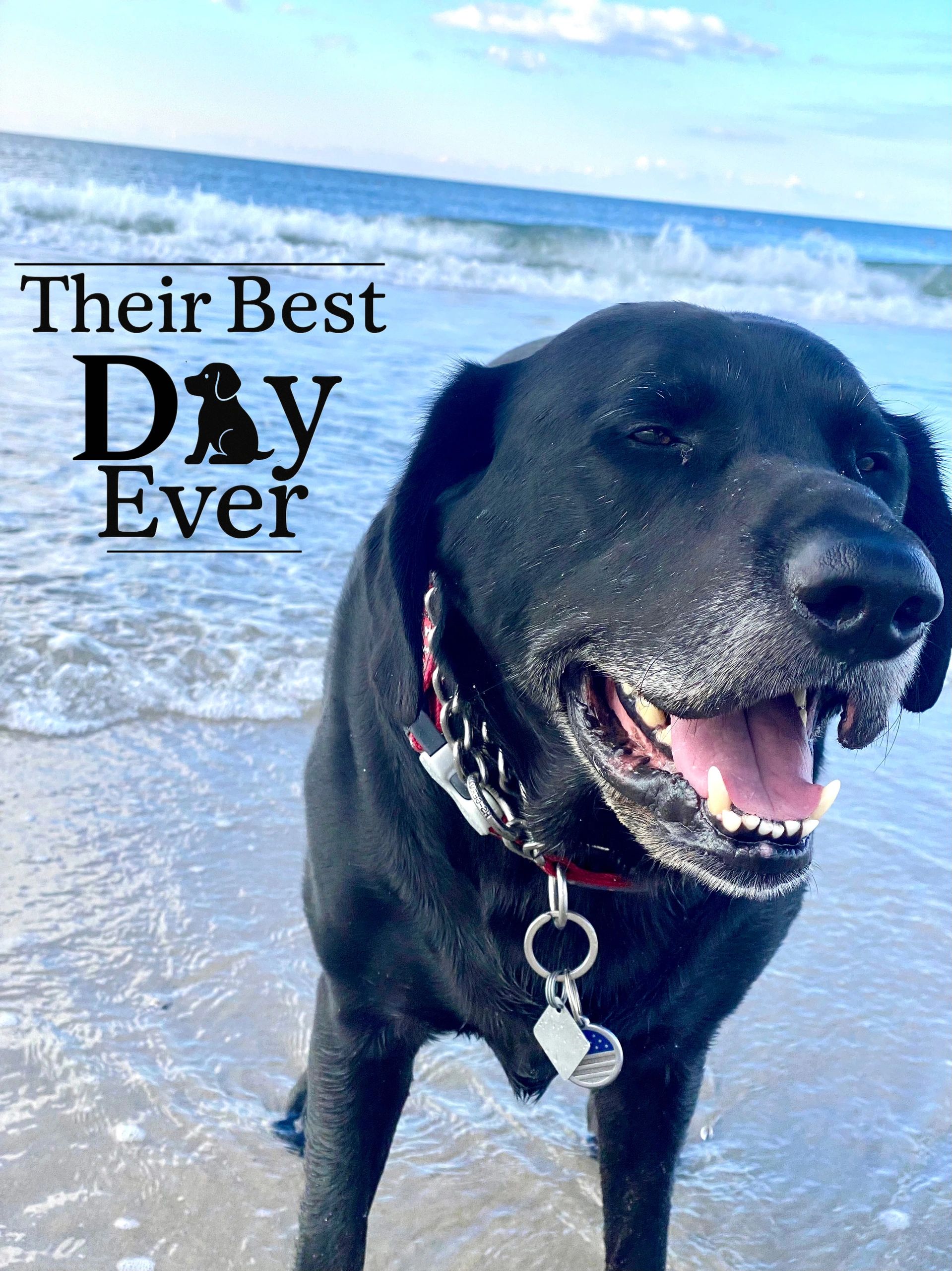 About | Their Best Day Ever